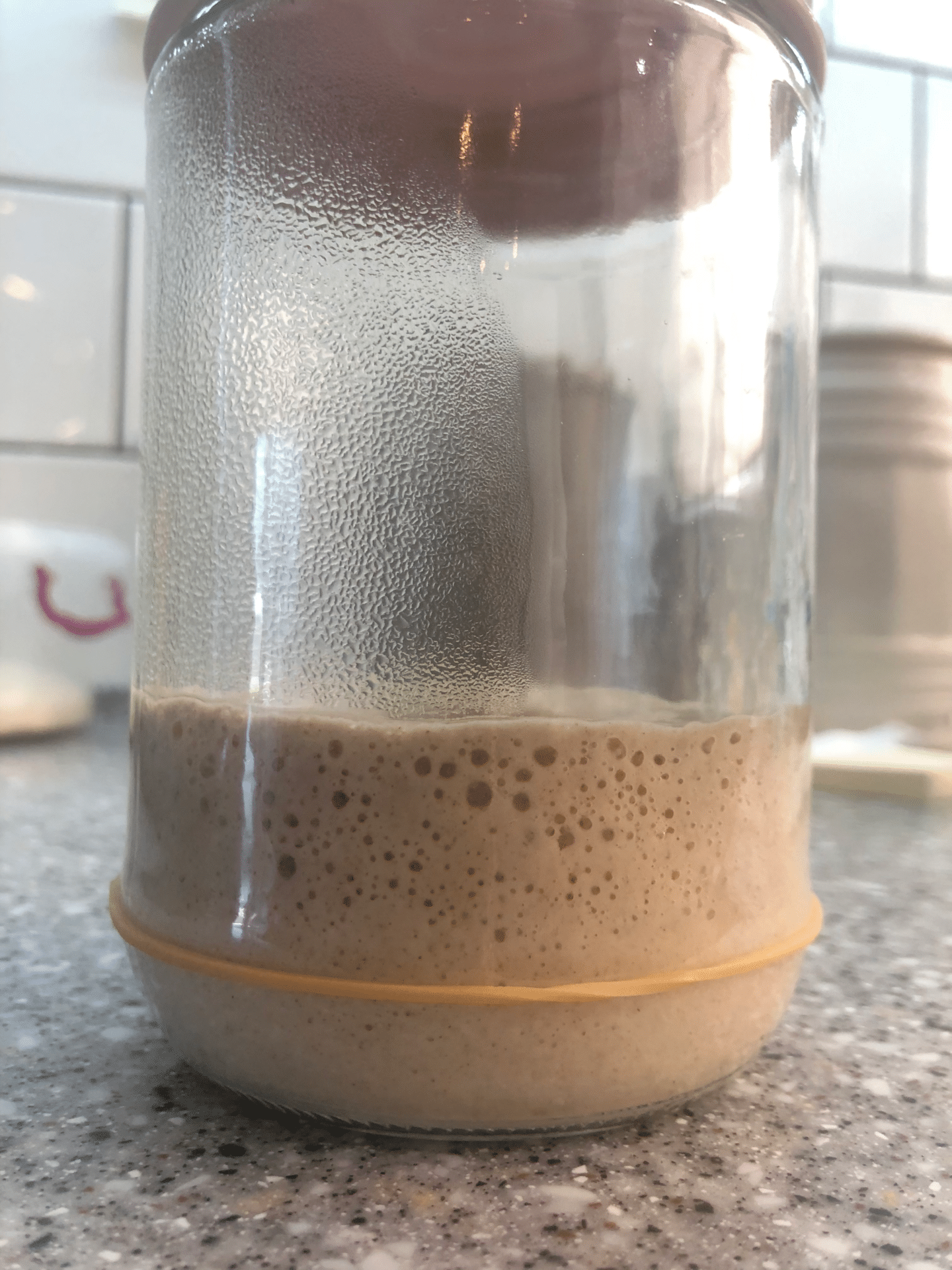 How To Make a Sourdough Starter? - Bake Bread Be Cool